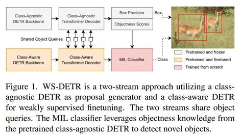 Detect More Objects When Only Using Image Level Labels With WS DETR
