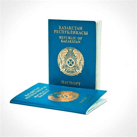 Для получения гражданства Казахстана придется выучить казахский язык ИА Красная Весна