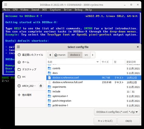 file manager dialogs show up empty · issue 3873 · joncampbell123