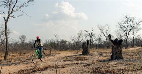 Le Zimbabwe Sur Le Point De Subir Une Famine Créée Par Lhomme