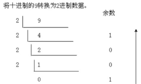 Python的介绍以及基本操作python 与操作 Csdn博客