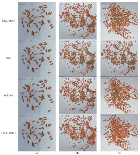 Rice Grain Detection And Counting Method Based On Tcleyolo Model