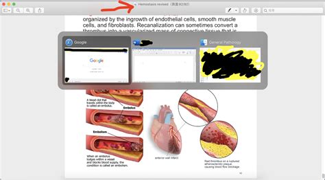 Some Windows Sometimes Not Showing Issue Lwouis Alt Tab Macos GitHub