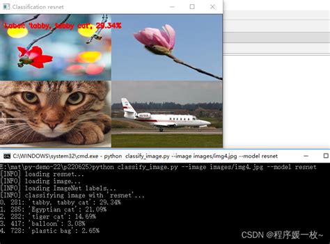 4 使用预训练的pytorch网络进行图像分类pytorch导入vgg16 Imagenet Csdn博客
