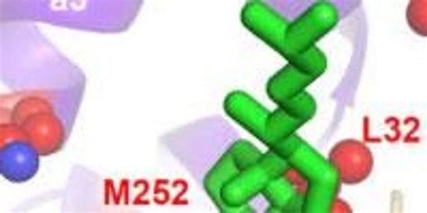 Structure Of Cholesterol