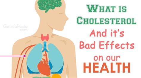 What Is Cholesterol And Its Bad Effects On Our Health