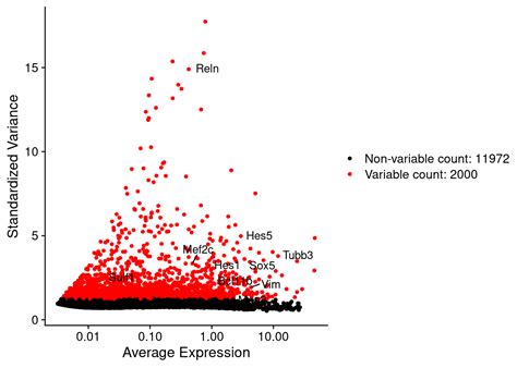 Gene Correlation Analysis E135 Mouse Brain Cotan Datasets Analysis