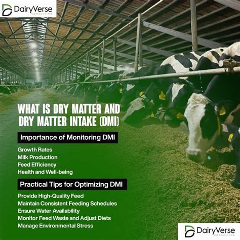 What Is Dry Matter And Dry Matter Intake Dairyverse