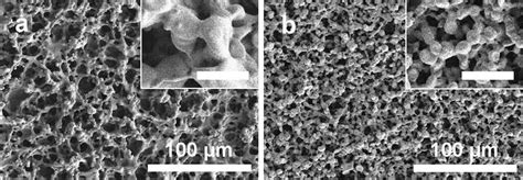 Figure 2 From Fabrication Of Poly 3 Hexylthiophenepolyethylene Oxide Nanofibers Using