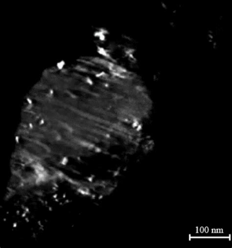 Synthesis And Characterization Of A Highly Electroactive Composite Based On Au Nanoparticles