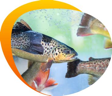 Centralizing Alaska S Lake Data With An Interactive Map Viewer Resource Data