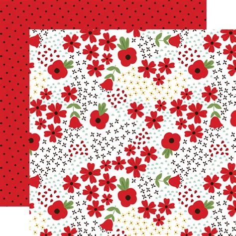 Collections Echo Park Paper Co Little Ladybug