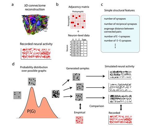 Learning And Evaluating Feature Based Generative Models For Neural
