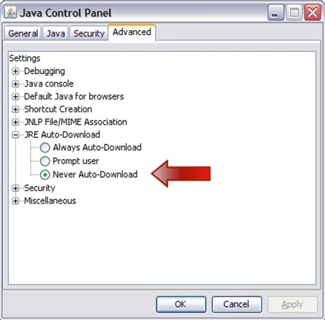 Problem Java Update Mediazoneamber