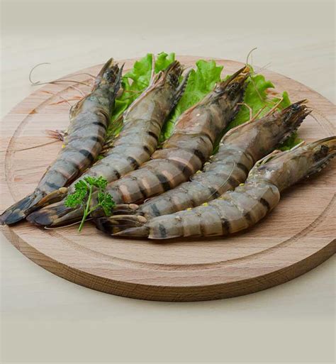 Giant Tiger Prawns Teco Foods