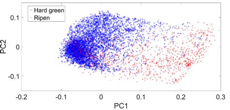 Score Plots Of The Mango Dataset In The Pc1×pc2 Space Download