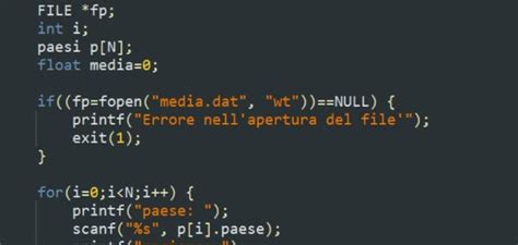 Esercizio Sui File In C Struct E Funzioni Fopen E Fprintf