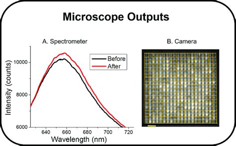 Spectral Lspr Data Versus Lspri A Lspr Spectra From A 400 Nanopillar