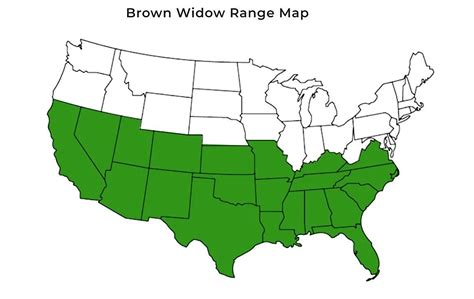 Black Widow Habitat Map Venomous Spiders Red Widow