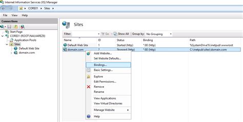 Internet Information Services Configure Multiple Websites On One IP Address Noel Alvarez