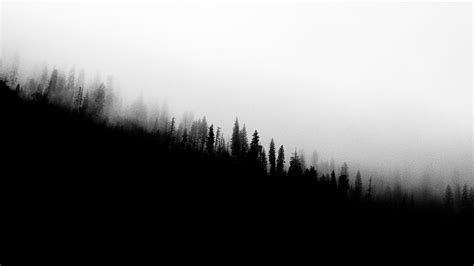 Forest Background Black And White