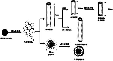 Drug Carrier And Preparation Method Thereof Eureka Patsnap