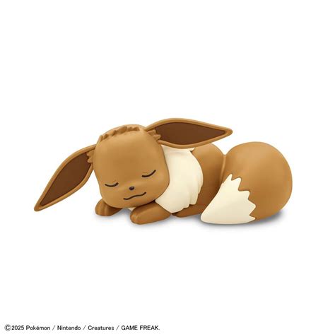Pokemon Model Kit Eevee Sleeping Pose Phoenix Reborn