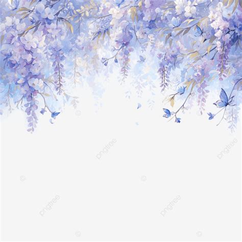 Wisteria Flower Plant Illustration Wisteria Flower Plant Wisteria