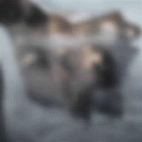 Understanding The Quantum Of Energy In Modern Physics