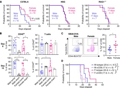 Sex Biased T Cell Exhaustion Drives Differential Immune Responses In