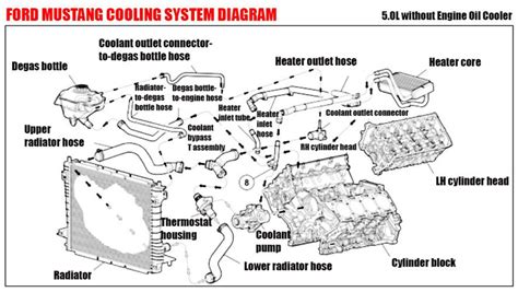 Ford Mustang Cooling System Diagram Car Anatomy