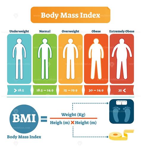 Body Mass Index Description At Kathleen Flores Blog