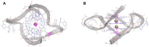 K Occupancy Maps Around The Telomeric Dna Gq In The Drude 2017 Download Scientific Diagram