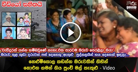 නෙළුම්කොල කඩන්න ඔරුවකින් ගිහින් නොඑන ගමන් ගිය පුංචි මල් කැකුළු Video Nilaweli Death Case