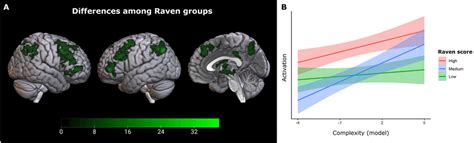 Brain Response To Strategic Complexity In Different Raven Subgroups