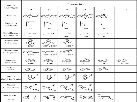 Tabla De Dubowitz Ppt