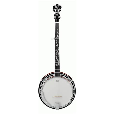 Ibanez B200 5 String Banjo In Natural