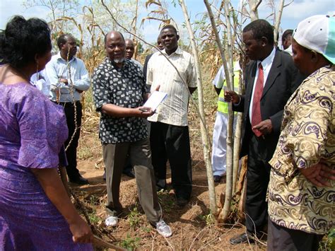 Inawezekana Mti Wa Mlonge