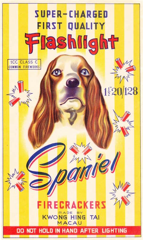 20 Bangin Vintage Firework Labels Print Magazine