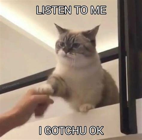 Cheer Up Meme Artofit