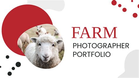 Free Portfolio Presentation Templates To Customize Online