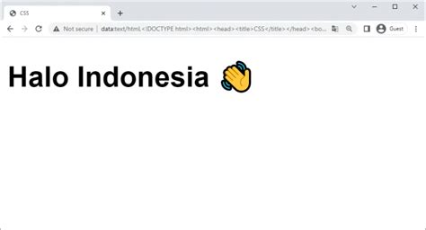 Dasar Penggunaan Css Dicoding Blog