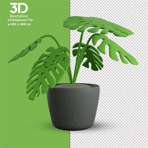 Premium Psd Tree Amp Plant 3d Monsterra 3d Realistic Render Gardening