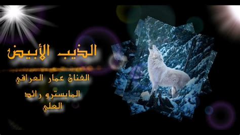 اغنية الذيب الابيض الفنان عمار العراقي Youtube