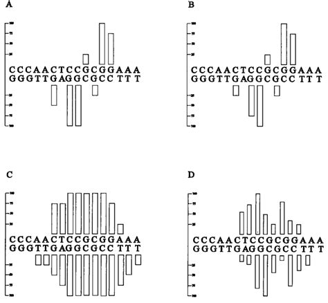 Densitometric Scanning Of Footprints Of Binding Site 2 A Methylation