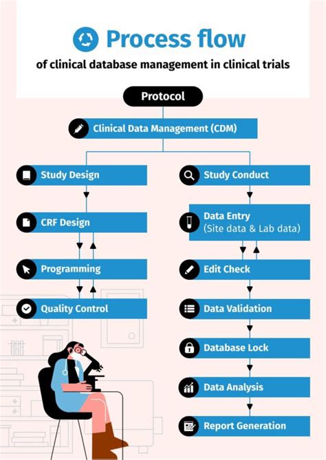 Process Flow Diagram Free Infographic Template Piktochart