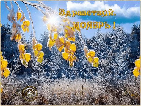 С Добрым первым утром Ноября Вот и ноябрь Будем вместе до