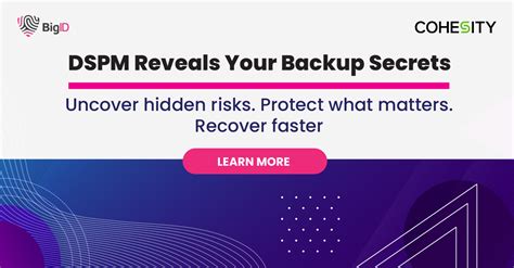 Beyond Backup Transforming Data Security And Protection With Bigid And Cohesity Bigid