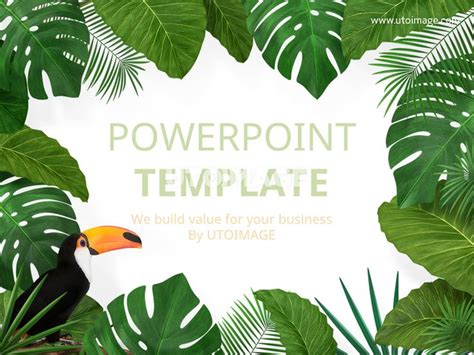 파워포인트 배경 자연 새와 트로피칼 Btppt412 유토이미지 파워포인트 식물 화초 여름 구관조 앵무새 새 조류 열대조류 보테니컬 야자수 나뭇잎