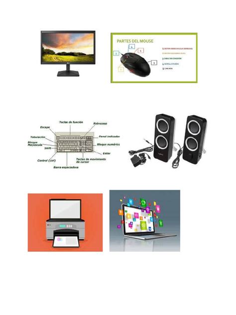 sdf pdf